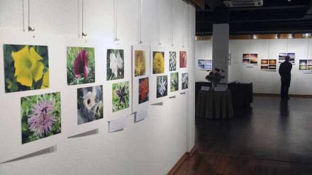 María Padrón dedica su obra a los encantos de El Hierro | Canarias7