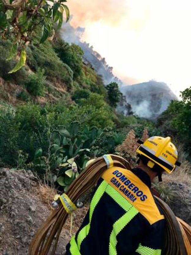 Los bomberos de Puerto Rico se unen al incendio | Canarias7