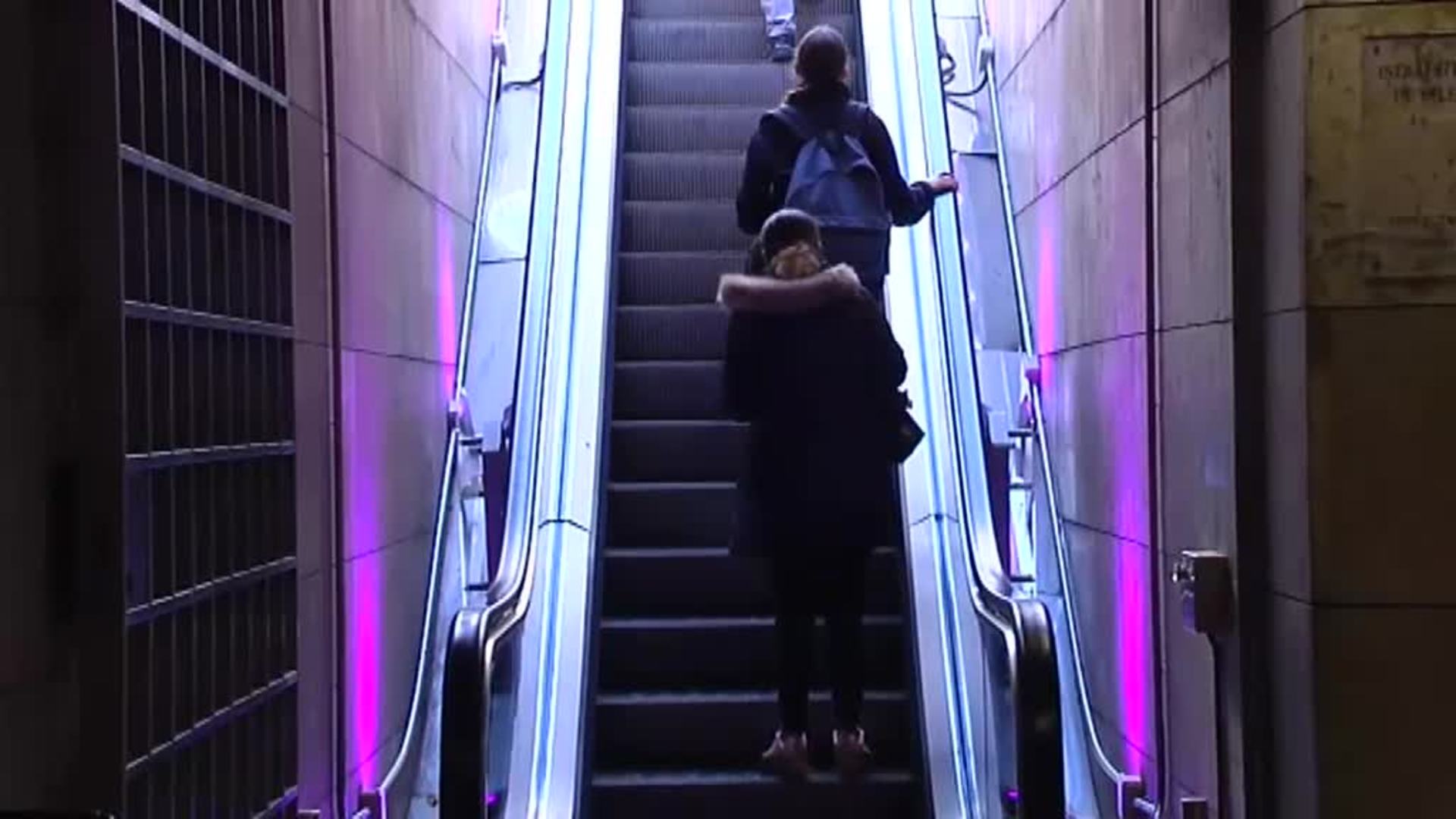 25N: símbolos y concentraciones recuerdan la lucha contra la violencia ...